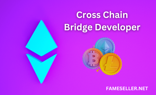 Cross Chain Bridge Developer | Blockchain Bridge Develop