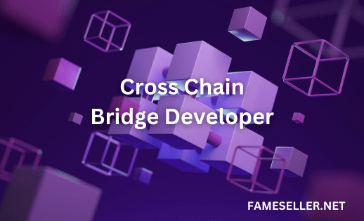 Cross Chain Bridge Developer | Blockchain Bridge Develop